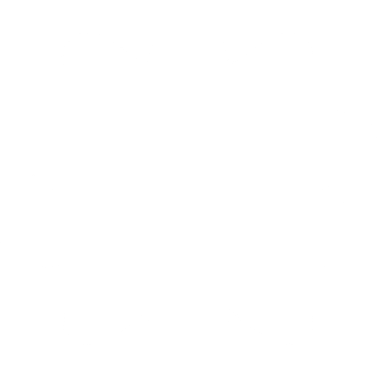 Websites – Sharma Brands